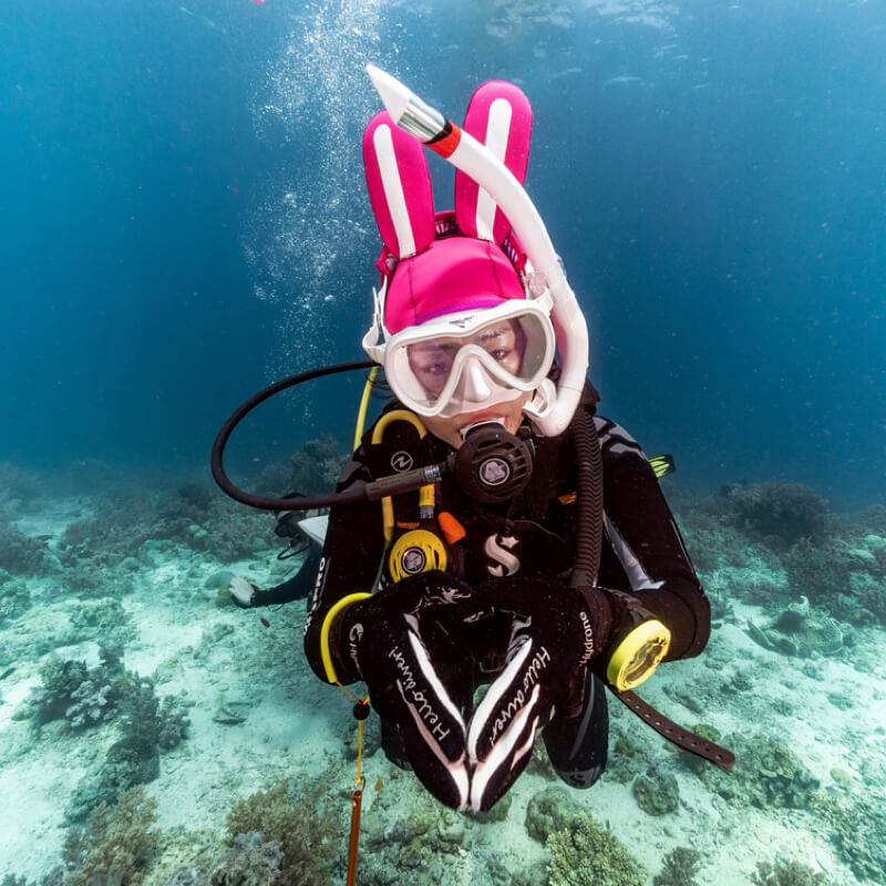 Cartoon Bunny Wetsuit Hood for Scuba Diving Surfing | Hydrone – HYDRONE ...